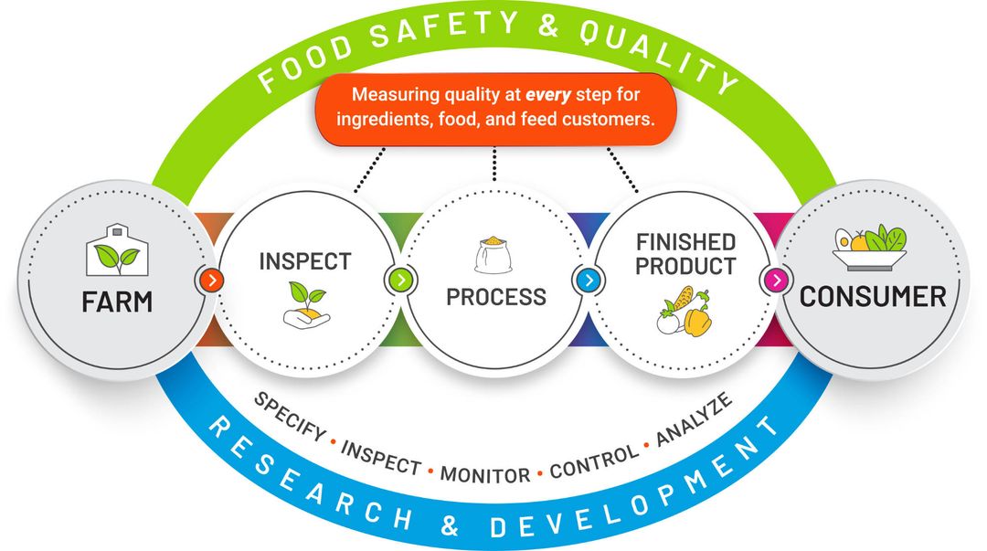 About KPM Analytics | We Craft Assurance